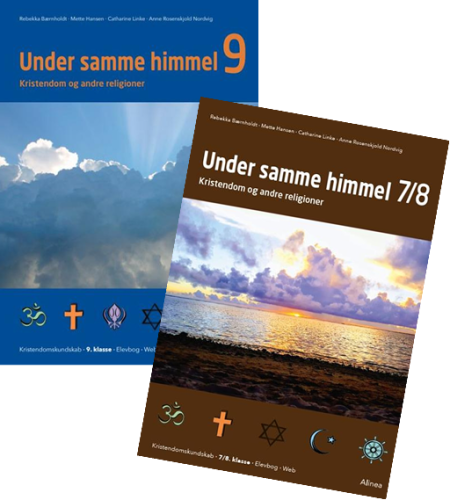 Gennemsynspakke | Alinea